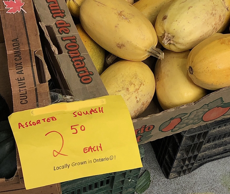 Community Supported Agriculture (CSA): What, why and the pros/cons ...